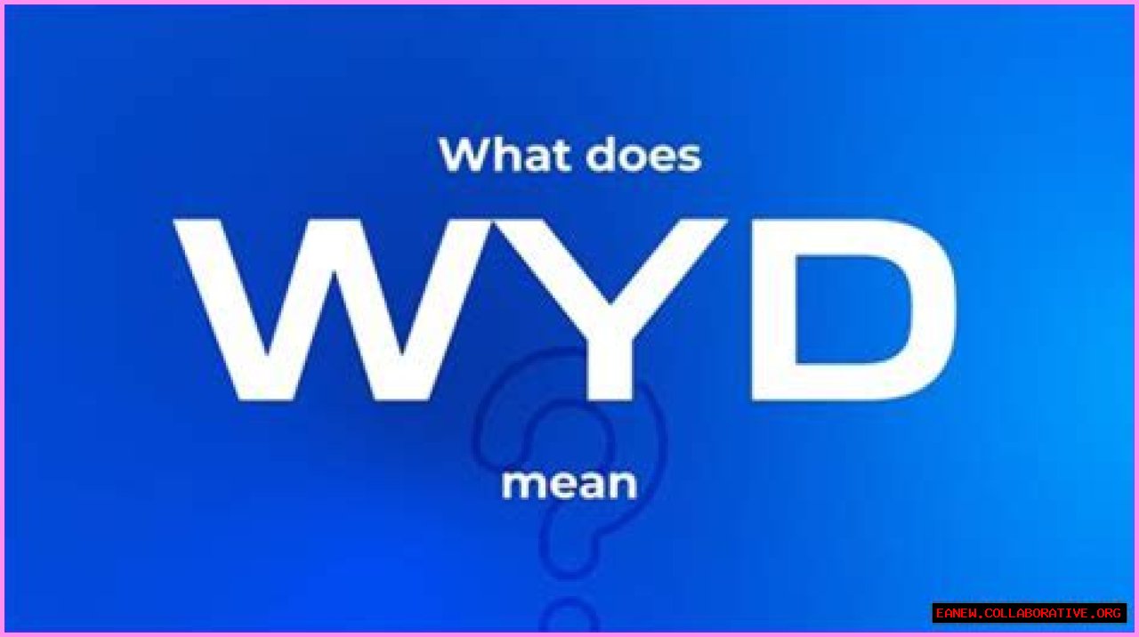 Understanding The Meaning Of 'Wydn'